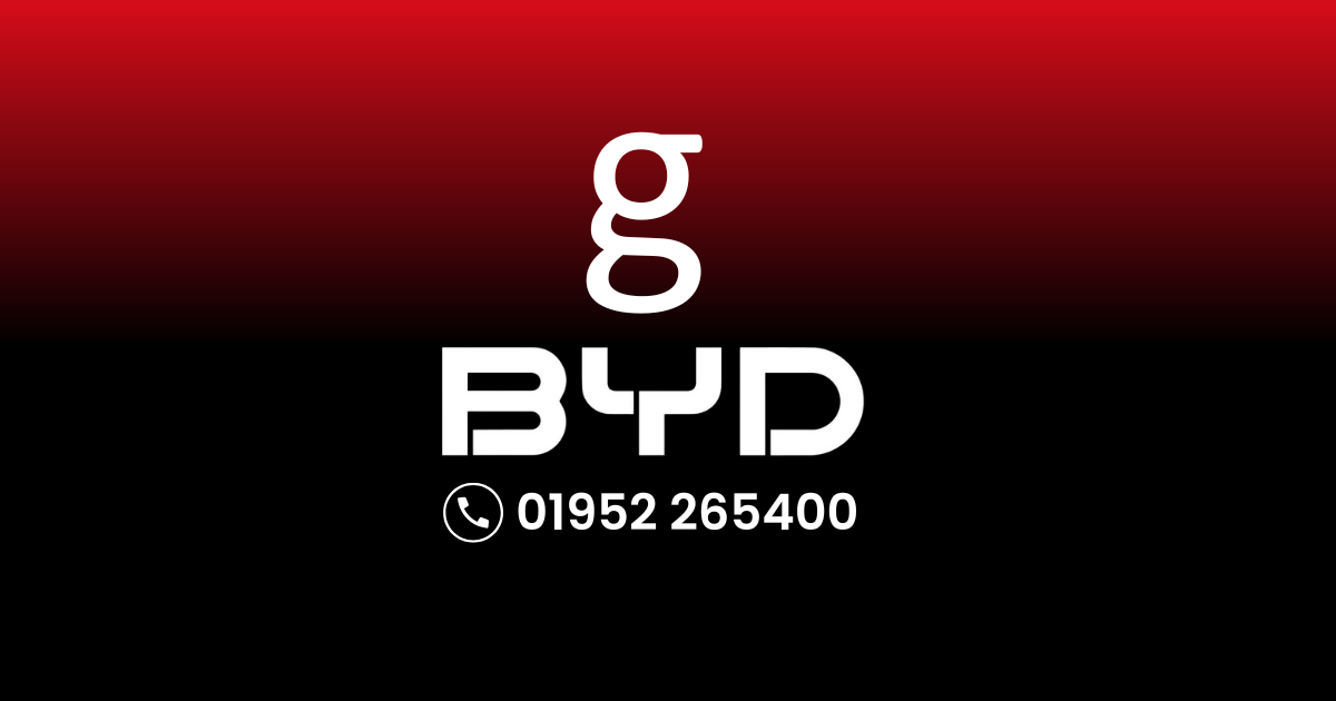 BYD DOLPHIN SURF | Compact 100% Electric Car